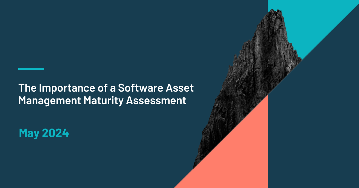 The importance of a Software Asset Management Maturity Assessment